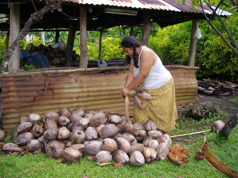 breaking-coconuts-samoa - Contented Traveller