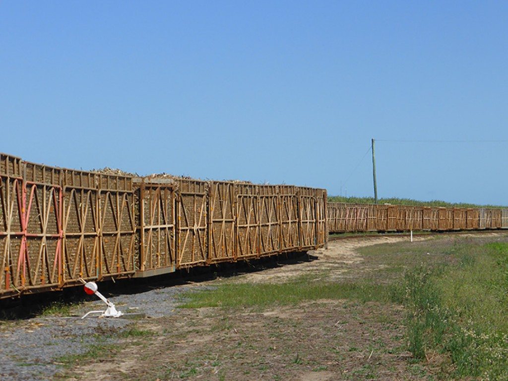 cane-train-innisfail - Contented Traveller