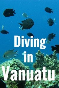 You Should Go Diving in Vanuatu