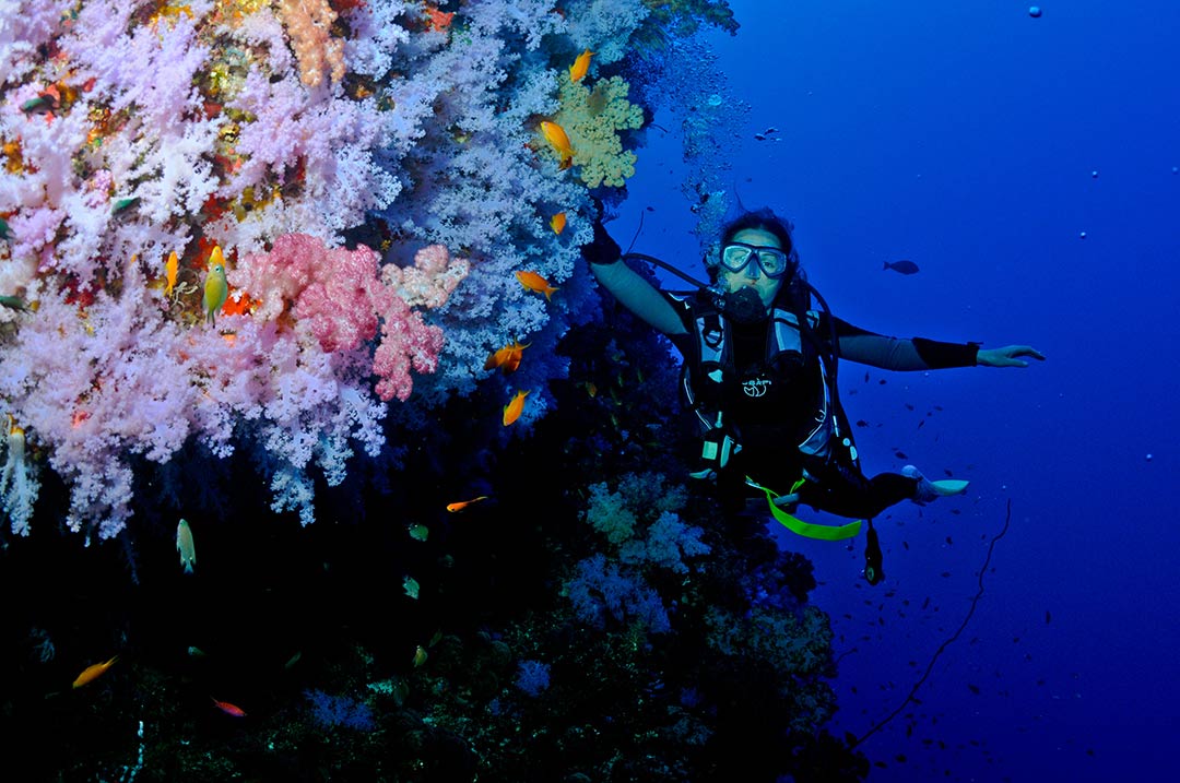 15 Best Outdoor Adventures in Oceania