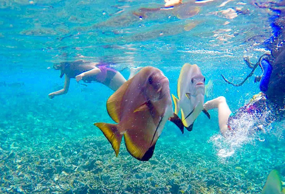 11 Best Outdoor Adventures in Asia