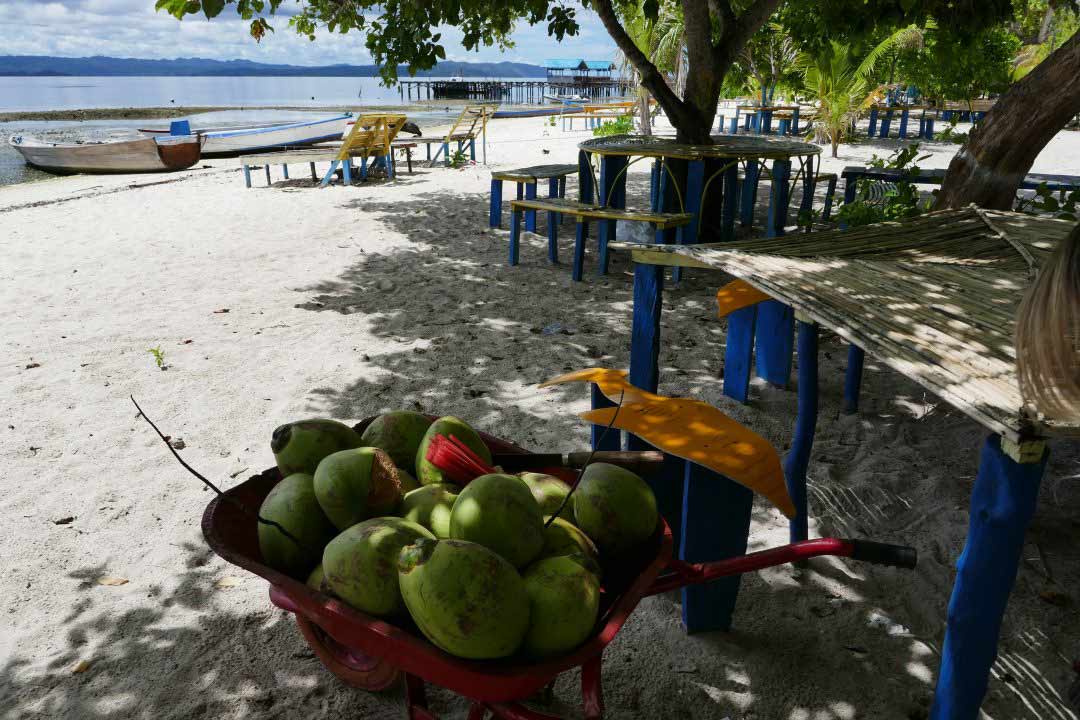 Discovering Arborek Village in Raja Ampat
