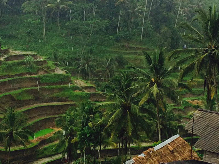 10 Things to do in Bali When It Rains